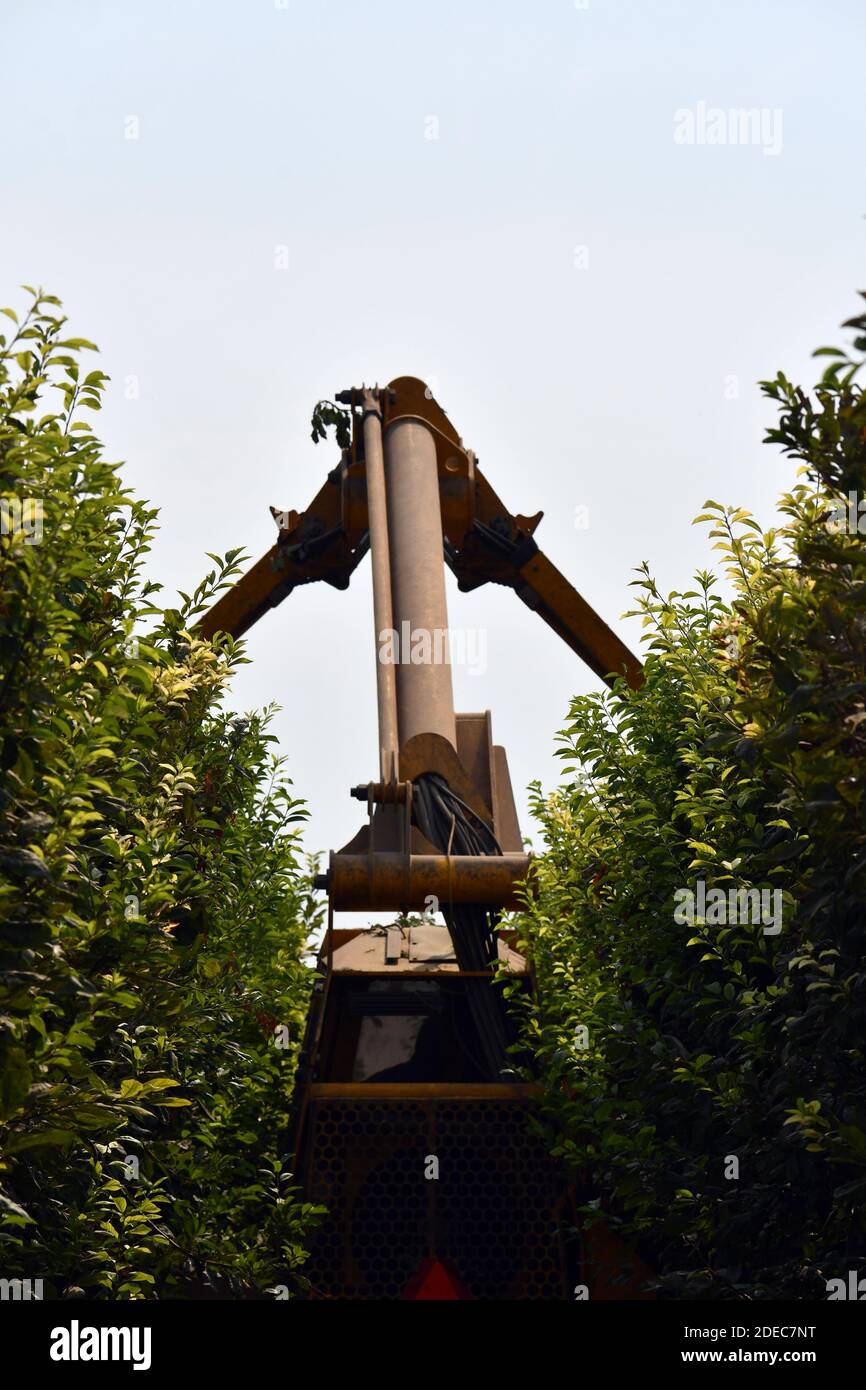 A vertical shot of an agricultural machine for cultivating a filed ...