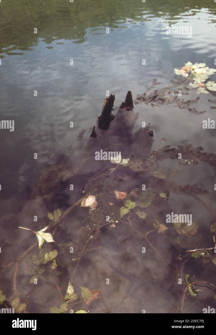 1970s Photos (1973) - Lake in the Ha Ha Tonka region; one of two formed ...