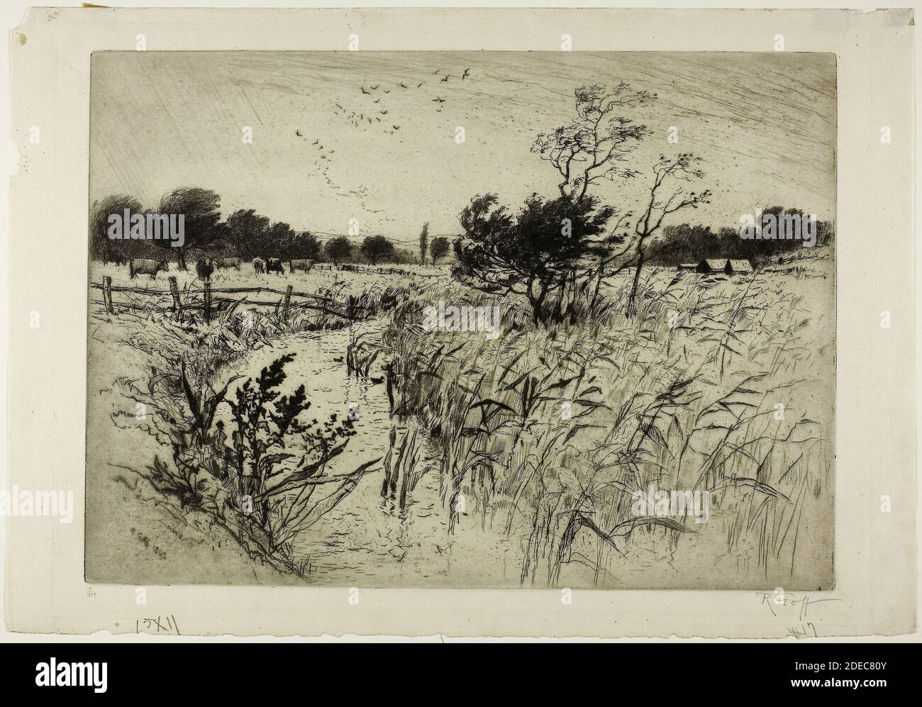 Etching and aquatint on ivory laid paper hi-res stock photography and ...