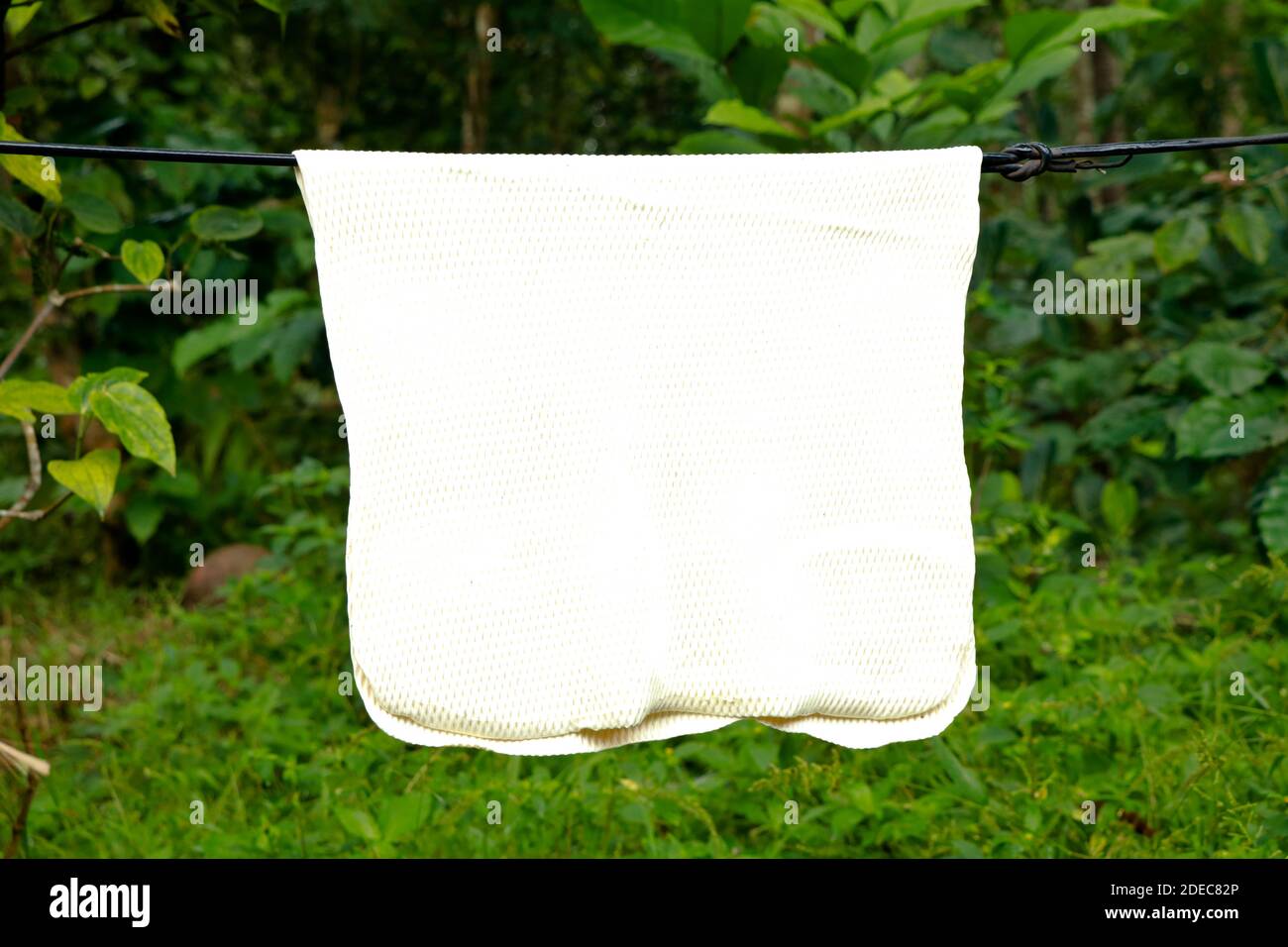 White color rubber sheets hung for drying against green background ...