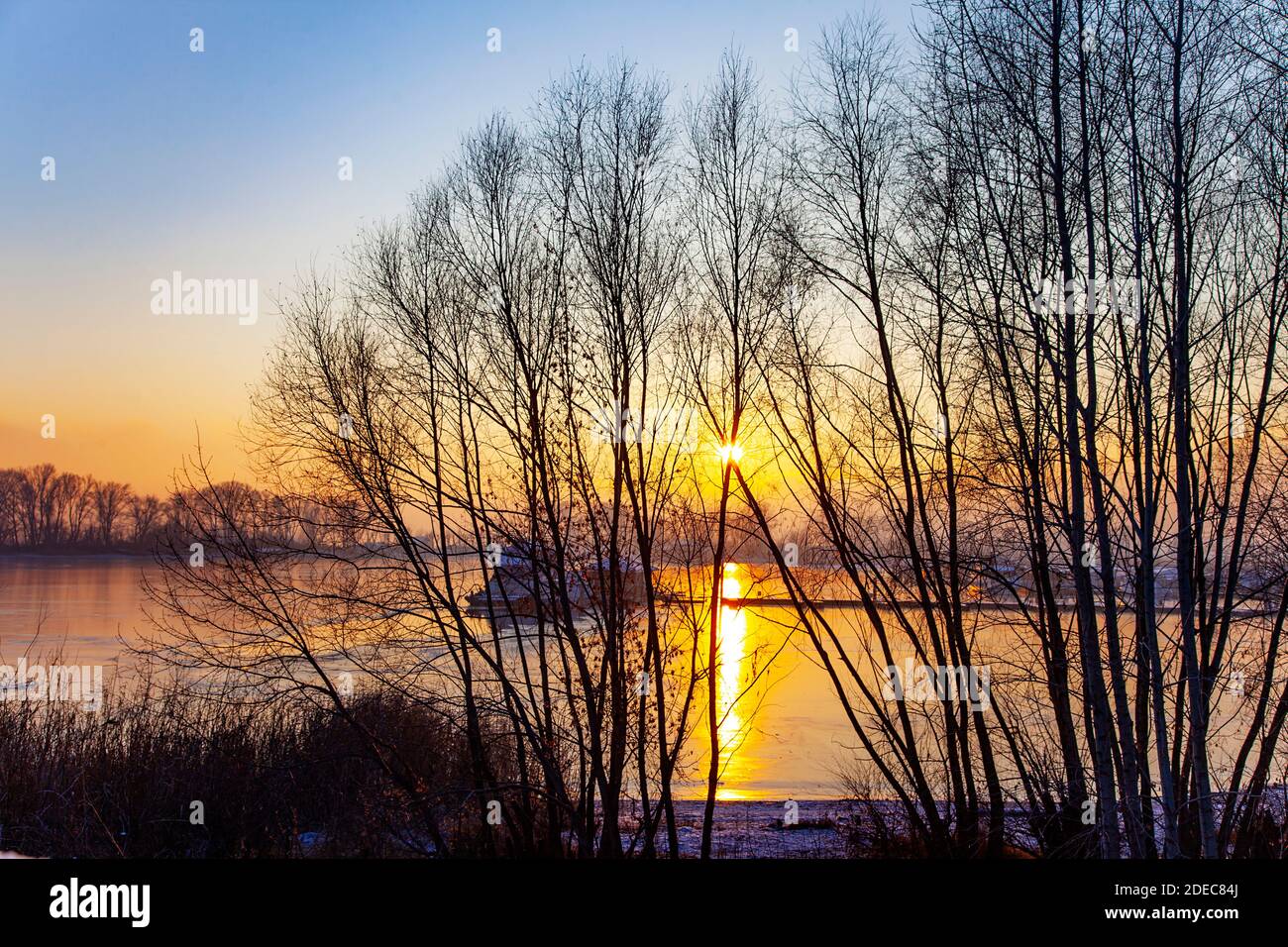 Sunset russian winter lanscape with trees silhouettes Stock Photo - Alamy