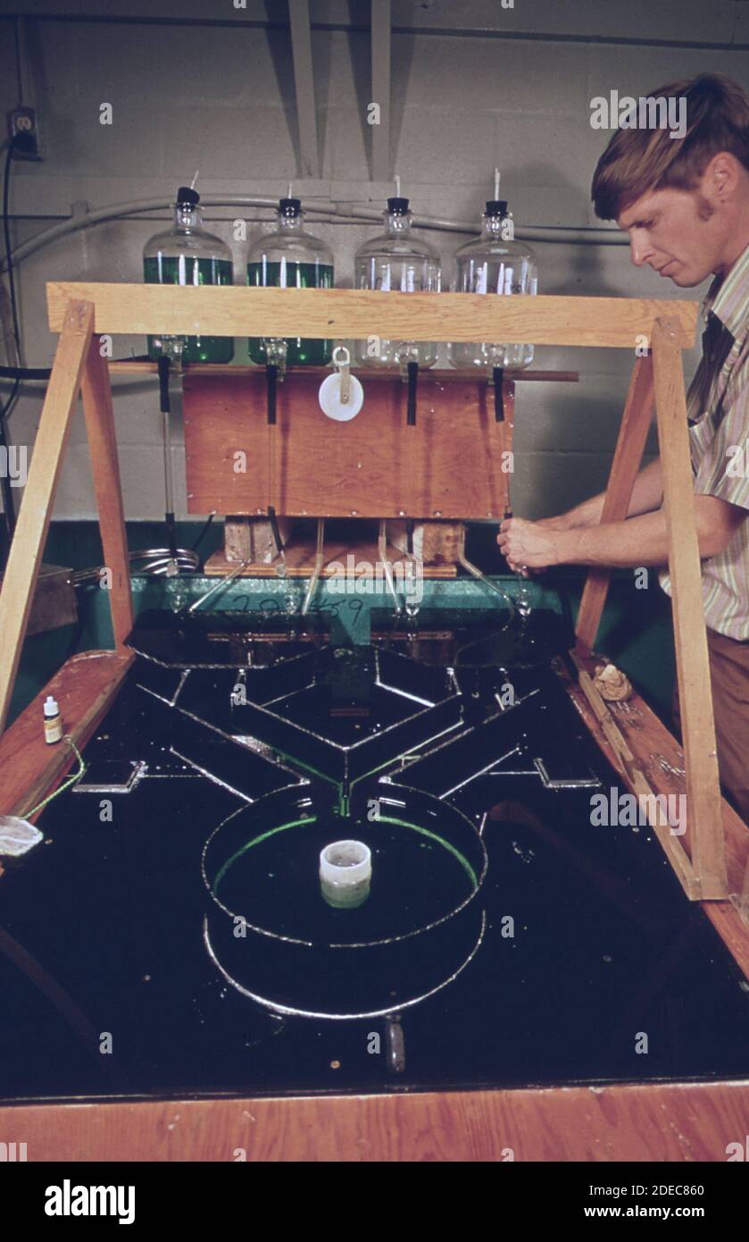 1970s Photo (1972) - EPA Gulf Breeze Laboratory: Bioassay wet lab. An ...