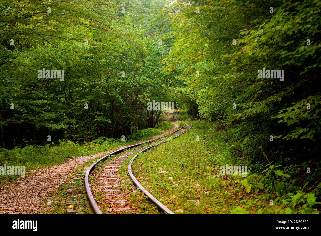 Abandoned Railroad High Resolution Stock Photography and Images - Alamy