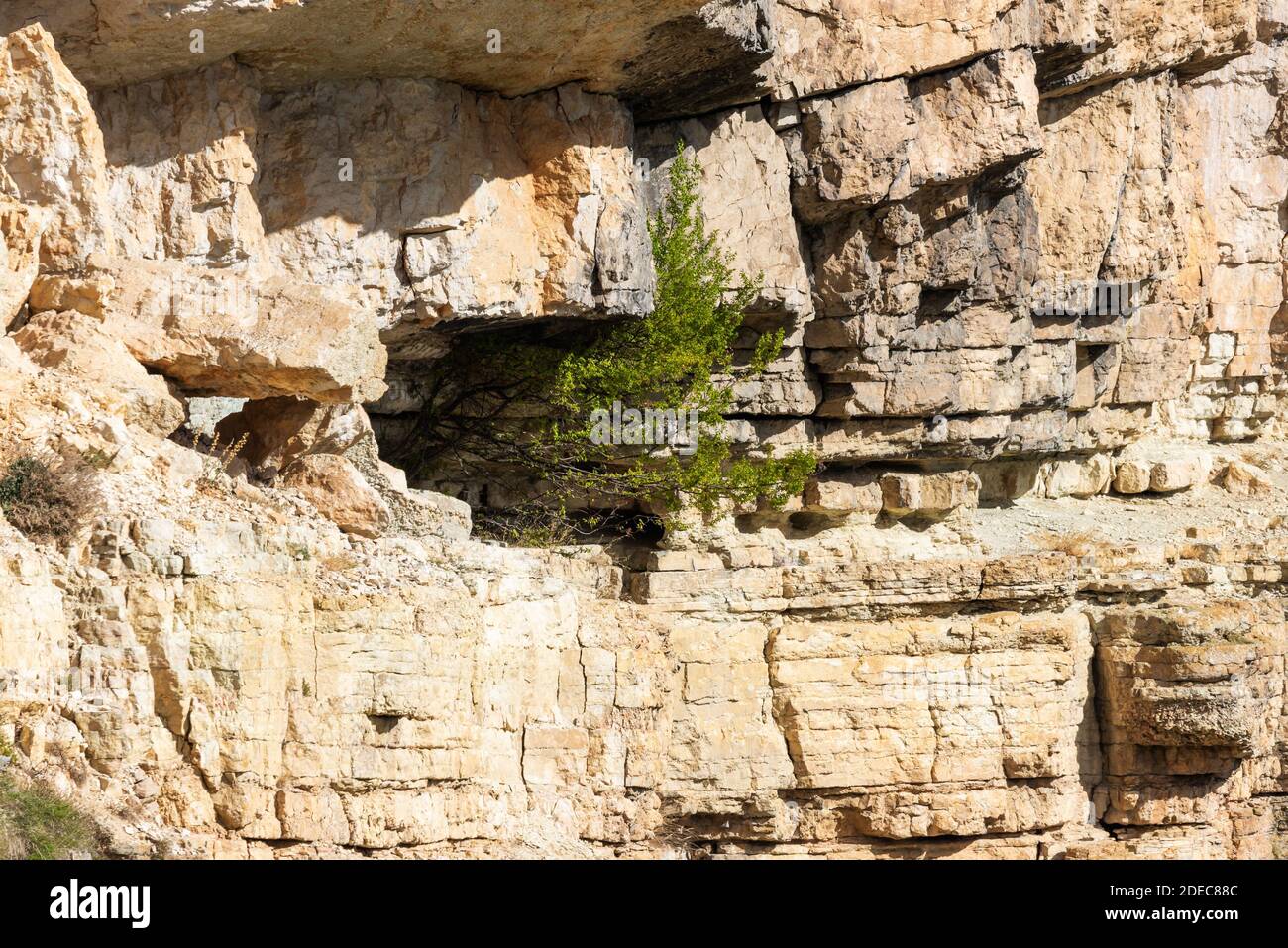 Layered cliff face in the canyon, close up view Stock Photo - Alamy