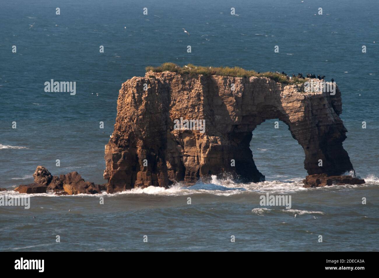 Whitburn coastal park hi-res stock photography and images - Alamy