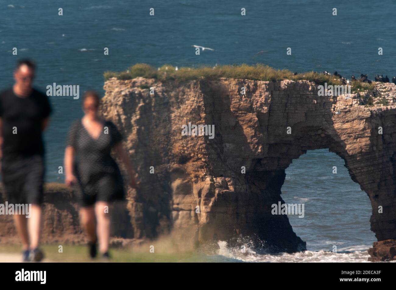 Whitburn coastal park hi-res stock photography and images - Alamy