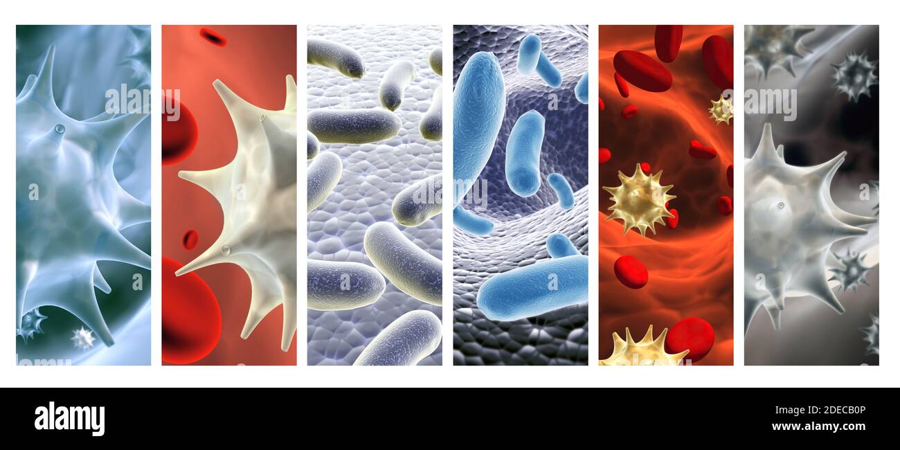 Collection of horizontal or vertical banners with pathogenic bacterias ...