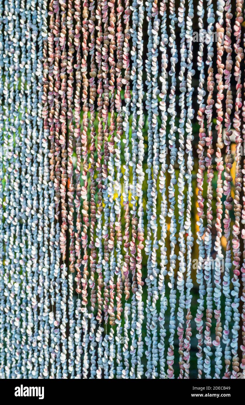 Curtain from seashell. Texture Stock Photo - Alamy