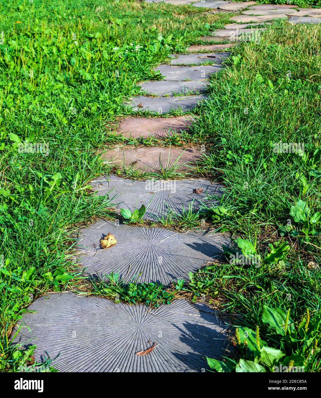 Stone walkway garden pathway. Stones are like the tree Stock Photo - Alamy
