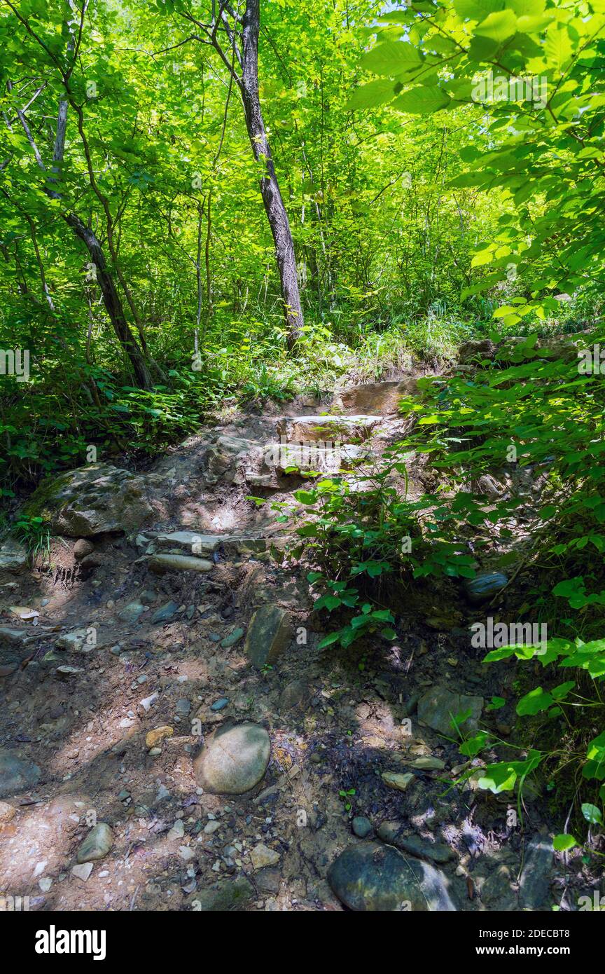 Stone staircase leading up, Adygeya Republic with the sun shines ...
