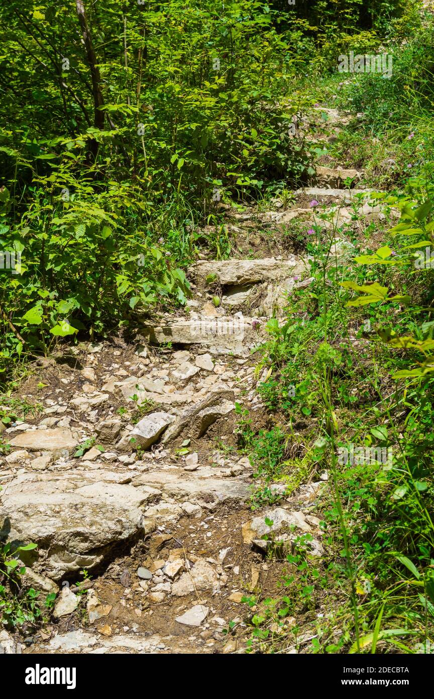 Stone staircase leading up, Adygeya Republic with the sun shines ...