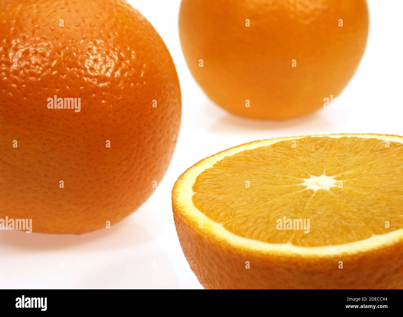 Orange, citrus sinensis, Fruits against White Background Stock Photo ...