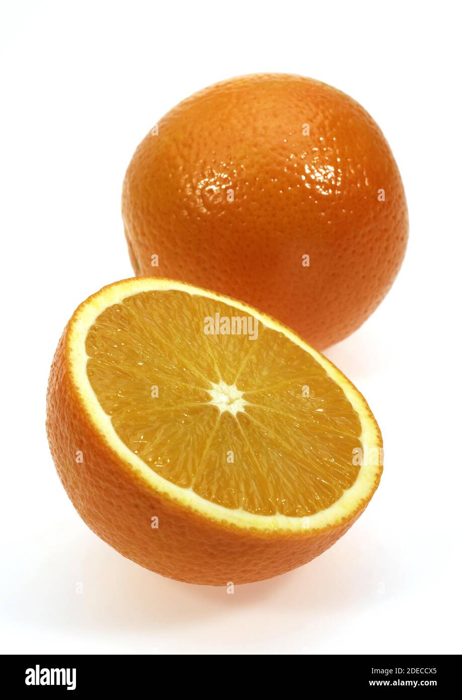 Orange, citrus sinensis, Fruits against White Background Stock Photo ...