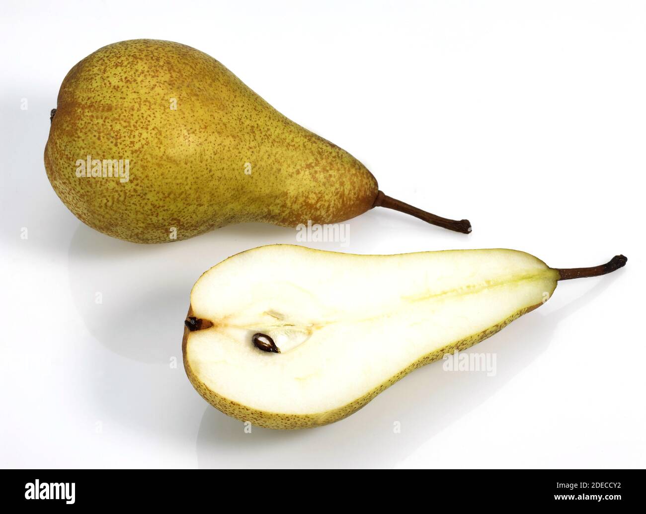 Conference Pear, pyrus communis, Fruits against White Background Stock ...