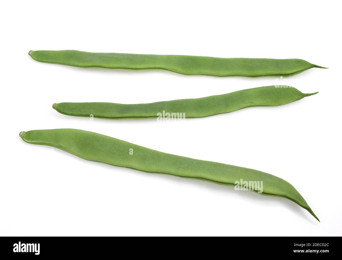 French Bean called Coco Plat, phaseolus vulgaris, Vegetable against ...