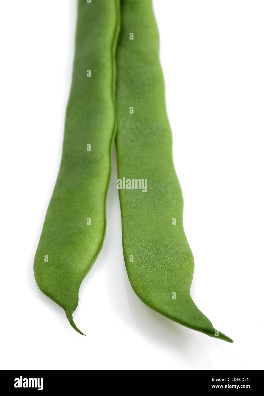 French Bean called Coco Plat, phaseolus vulgaris, Vegetable against ...