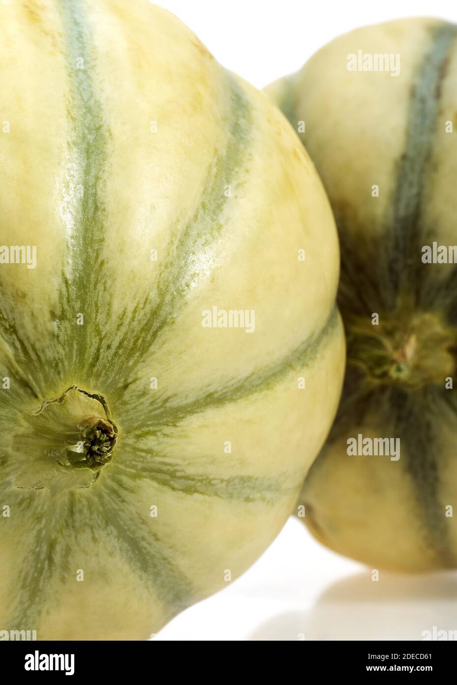 Cavaillon Melon, cucumis melo, Fruits against White Background Stock ...