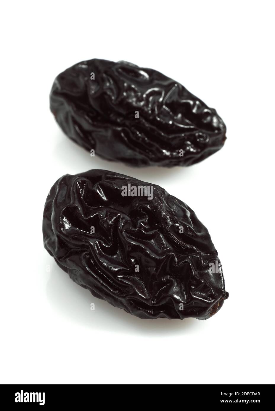 Dry Prune, prunus domestica, Fruits against White Background Stock ...