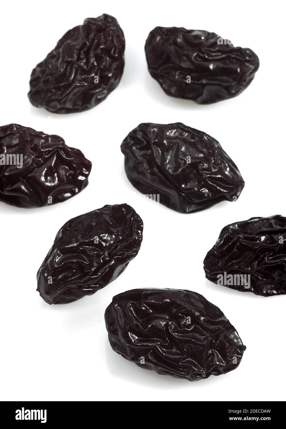 Dry Prune, prunus domestica, Fruits against White Background Stock ...