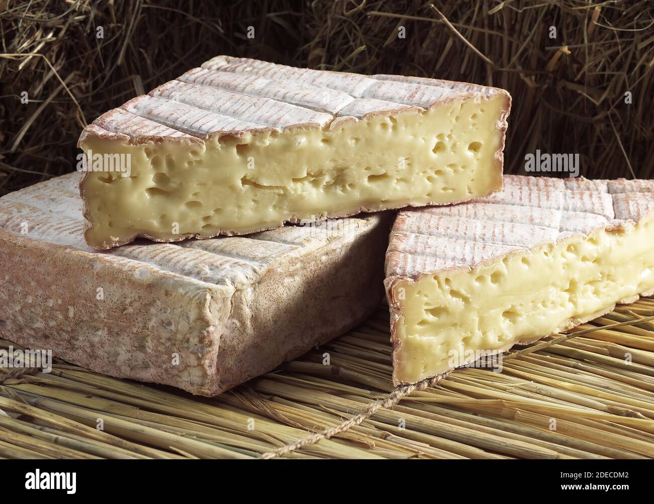 Pont l'Eveque, French Cheese produced in Normandy from Cow's Milk Stock ...