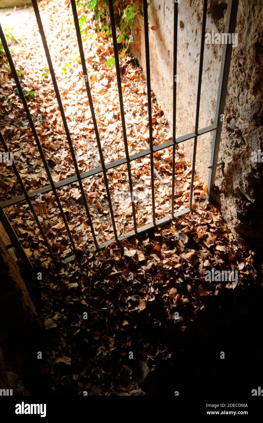 behind bars, serve a sentence in imprisonment, view on brown autumn ...
