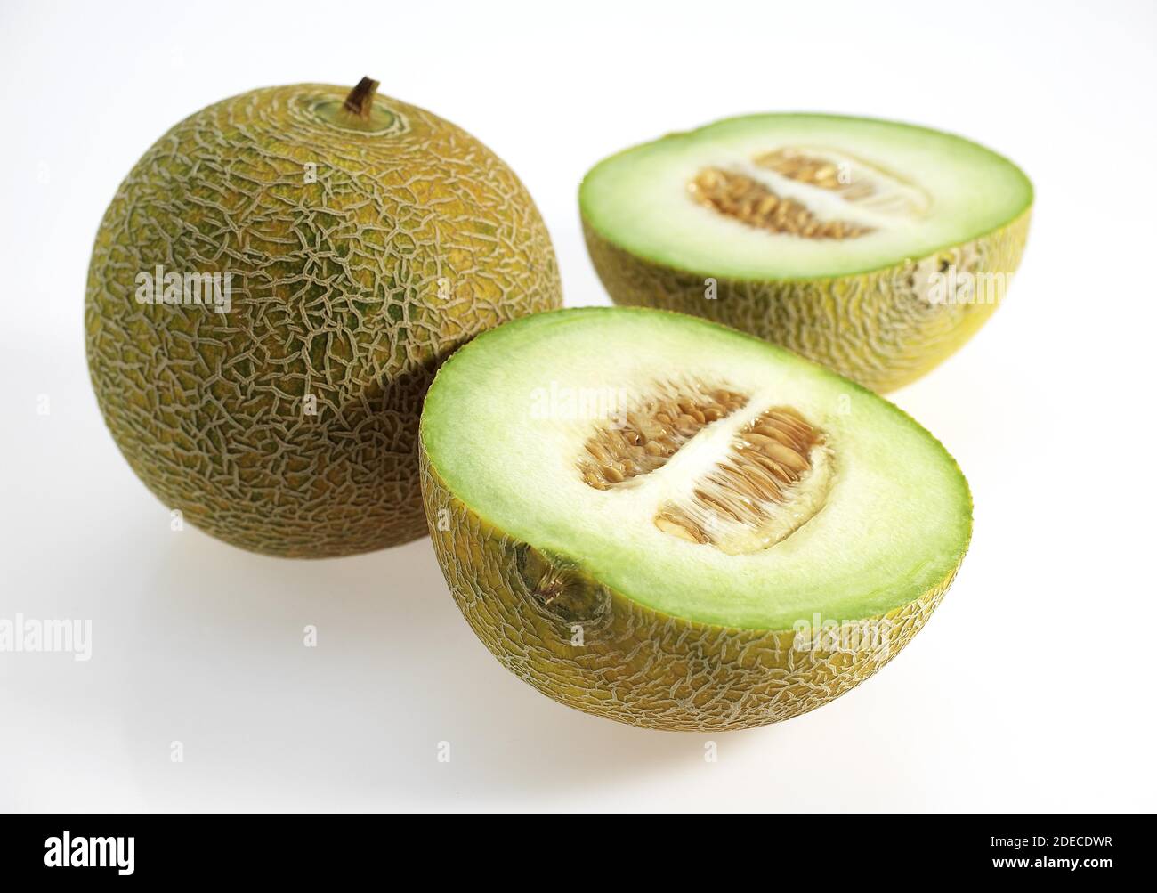 Italian Melon, cucumis melo, Fruits against White Background Stock ...
