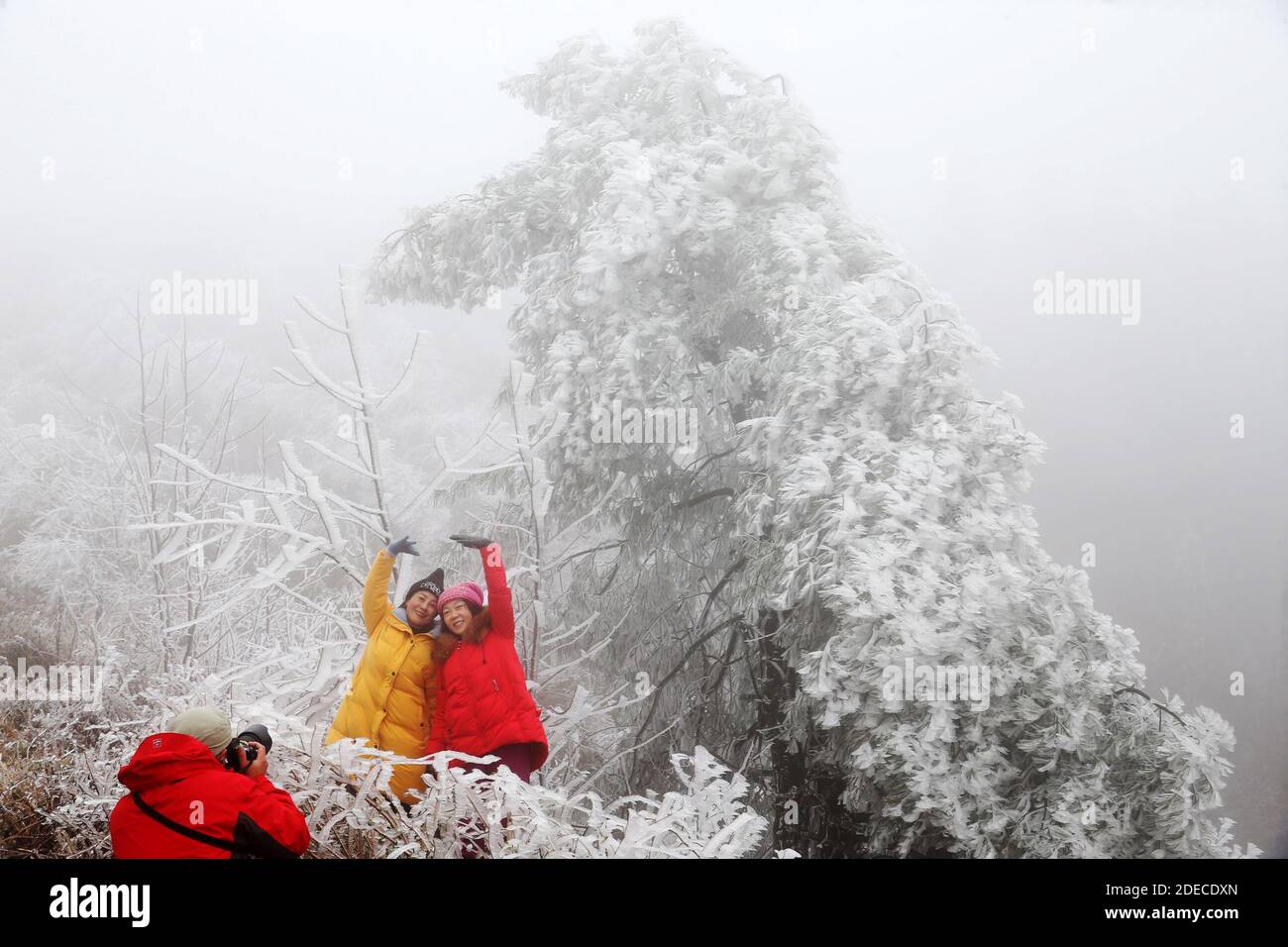 Beijing, China. 28th Nov, 2020. Tourists take picture with frost ...