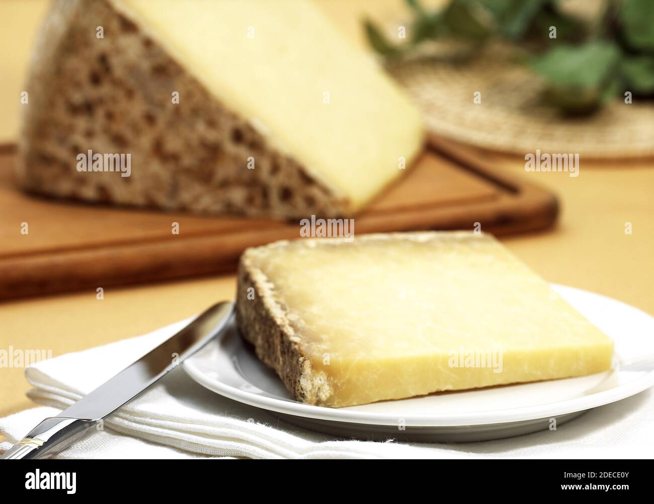 Cantal Cheese