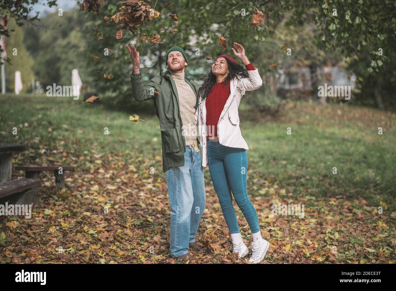 Man throwing leaves into air hi-res stock photography and images - Alamy