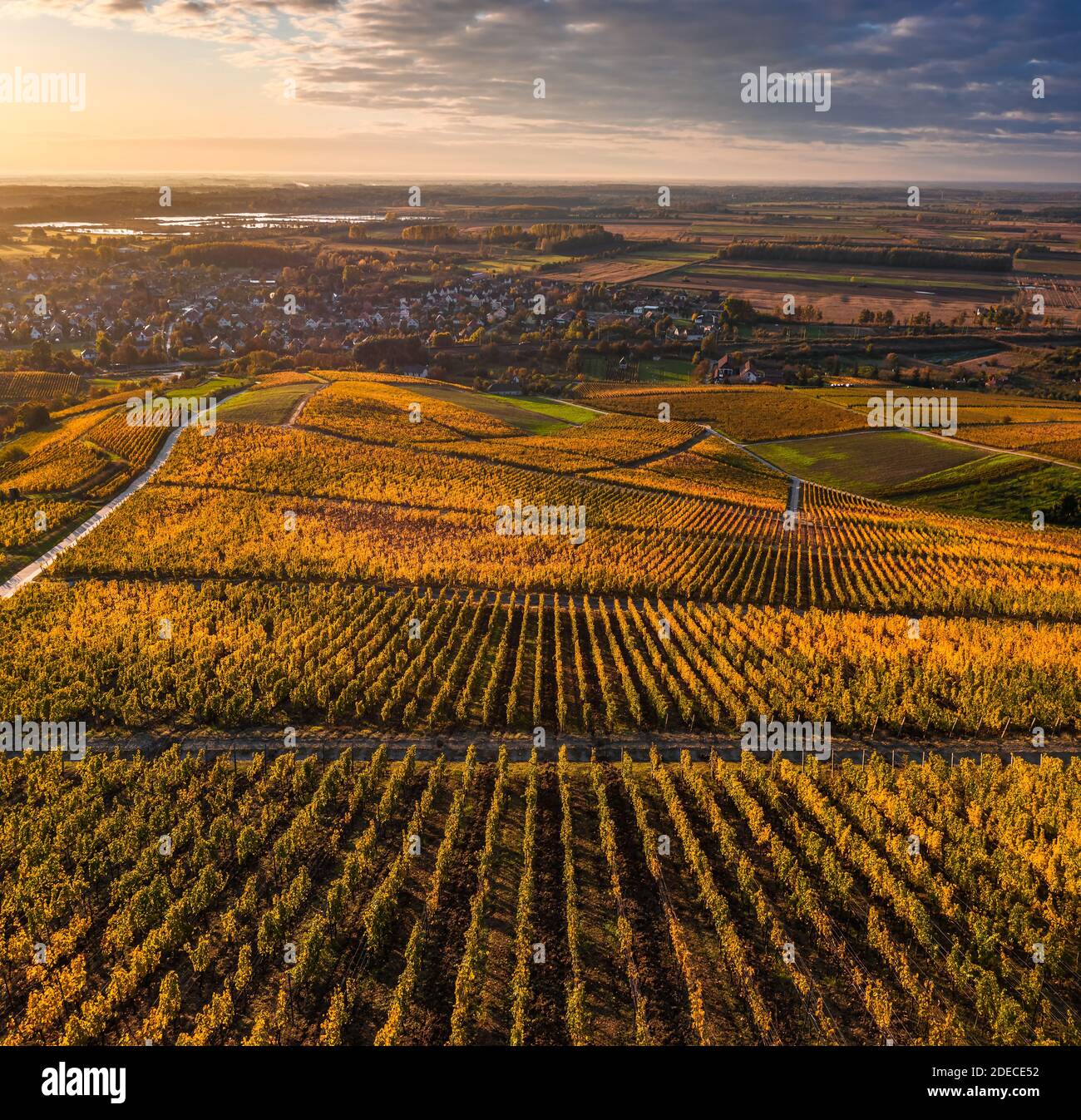 Tokaji High Resolution Stock Photography and Images - Alamy