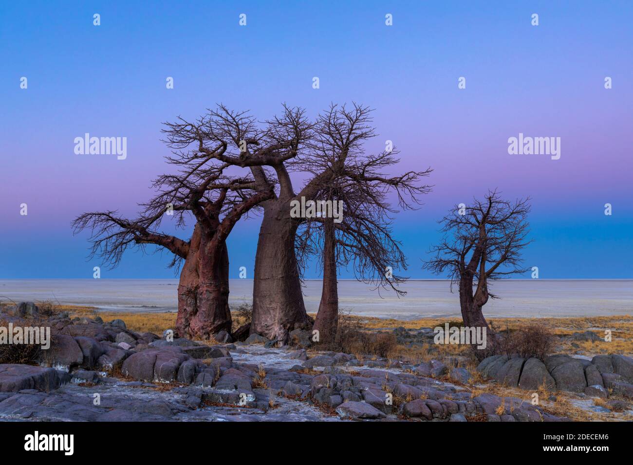 Kalahari colors hi-res stock photography and images - Alamy