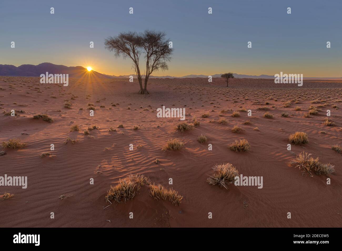 Sunset in the Namib Desert Stock Photo - Alamy