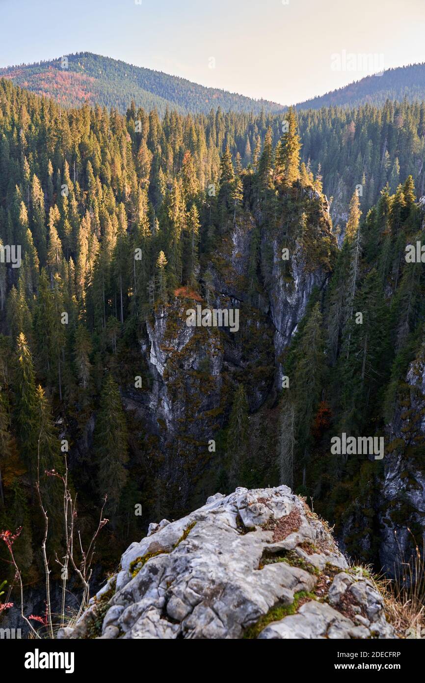 Huge mountains coniferous forests mountain hi-res stock photography and ...