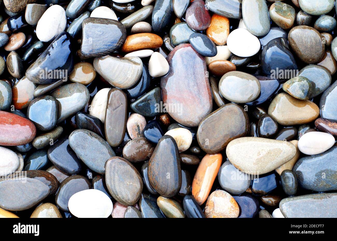 Natural texture background, colorful sea stones in water, top view ...