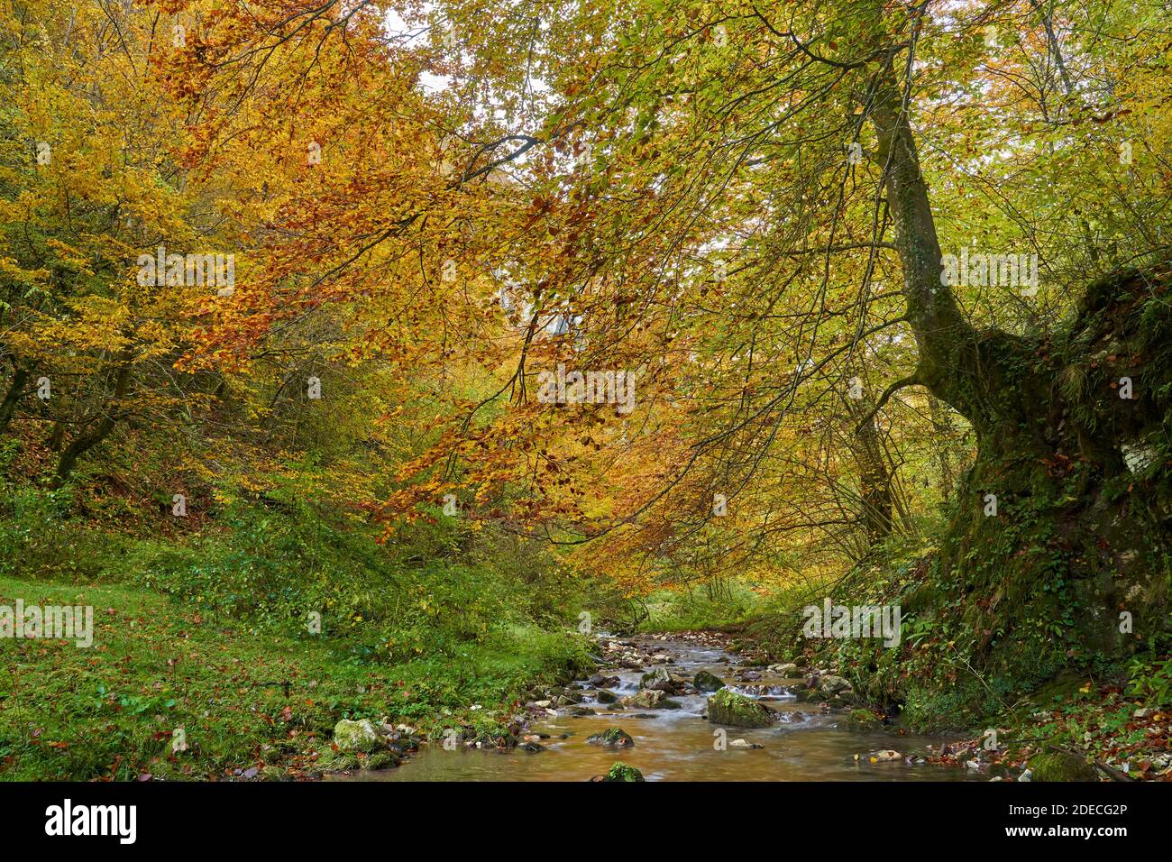 Slowly flowing water in a river hi-res stock photography and images - Alamy