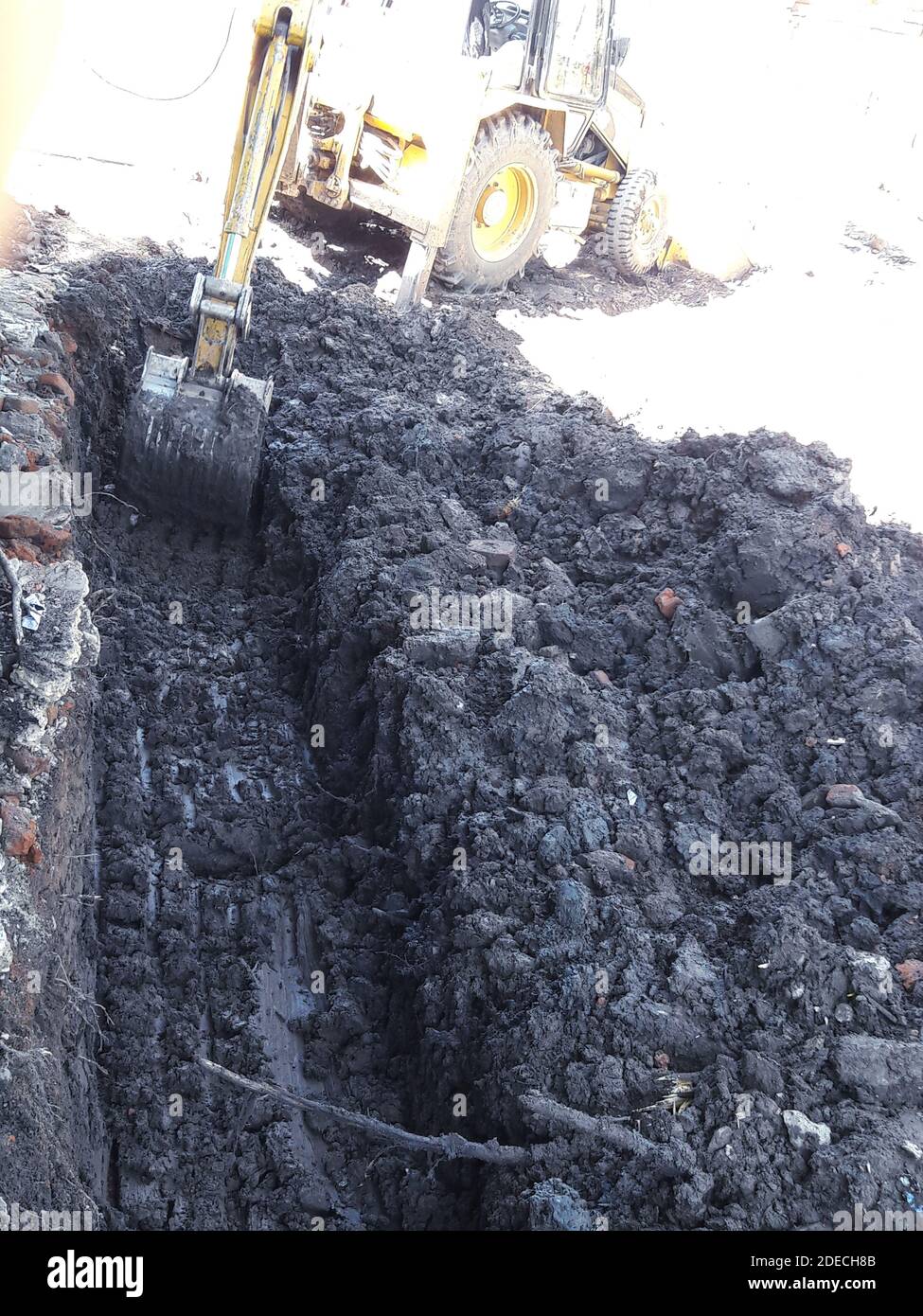 Landscape green beauty paddy fields, nature landscaping. Plants green ...