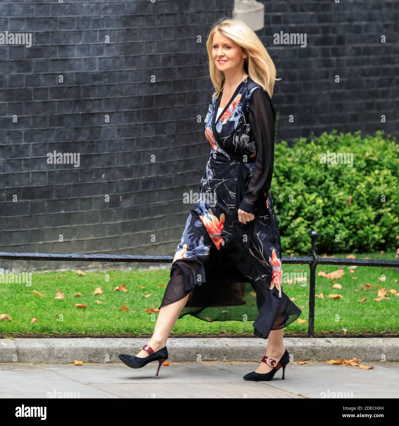 Esther Mcvey Mp High Resolution Stock Photography and Images - Alamy