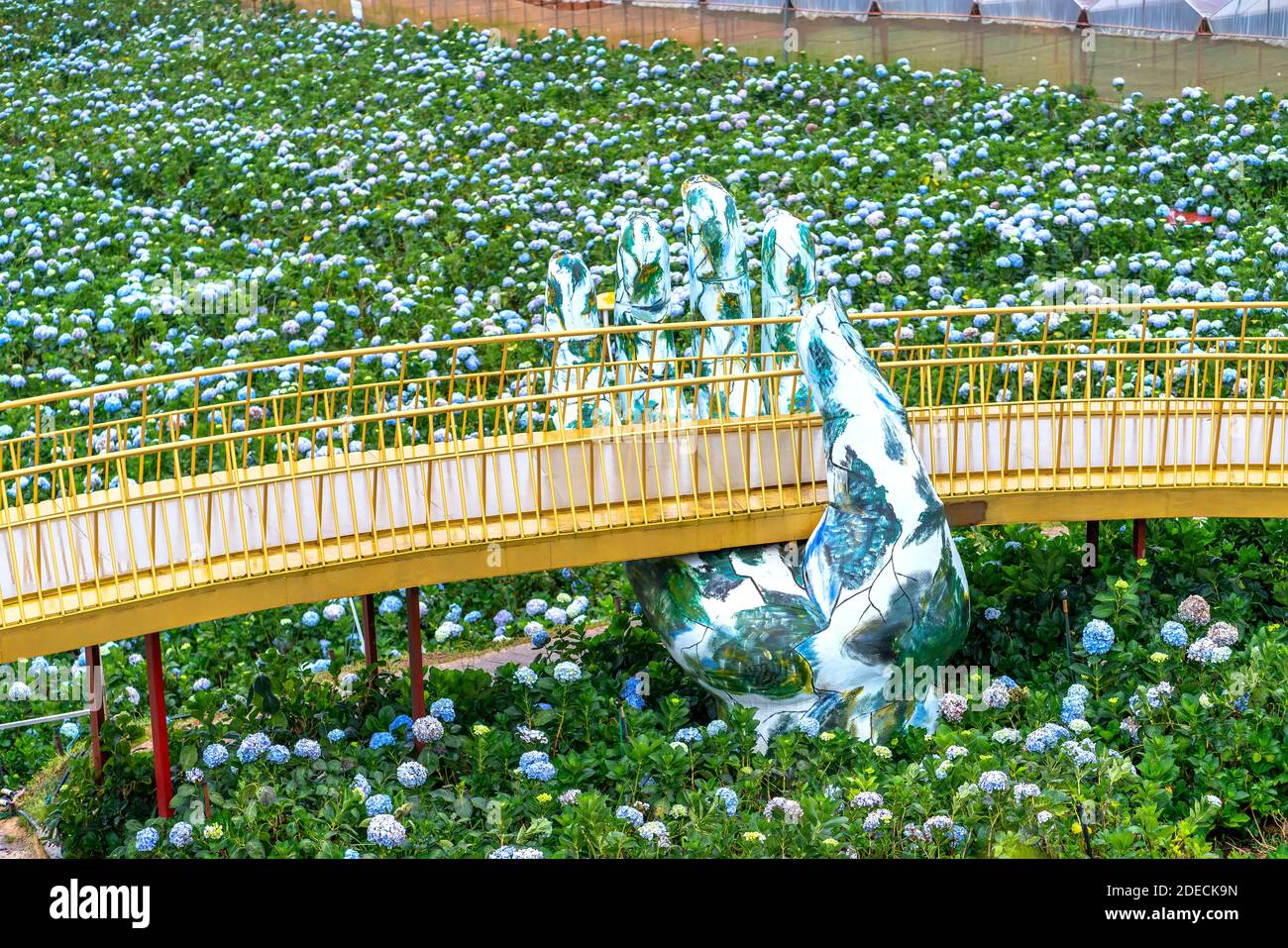 Golden Bridge in the Hydrangea Flower Garden, which attracts visitors ...
