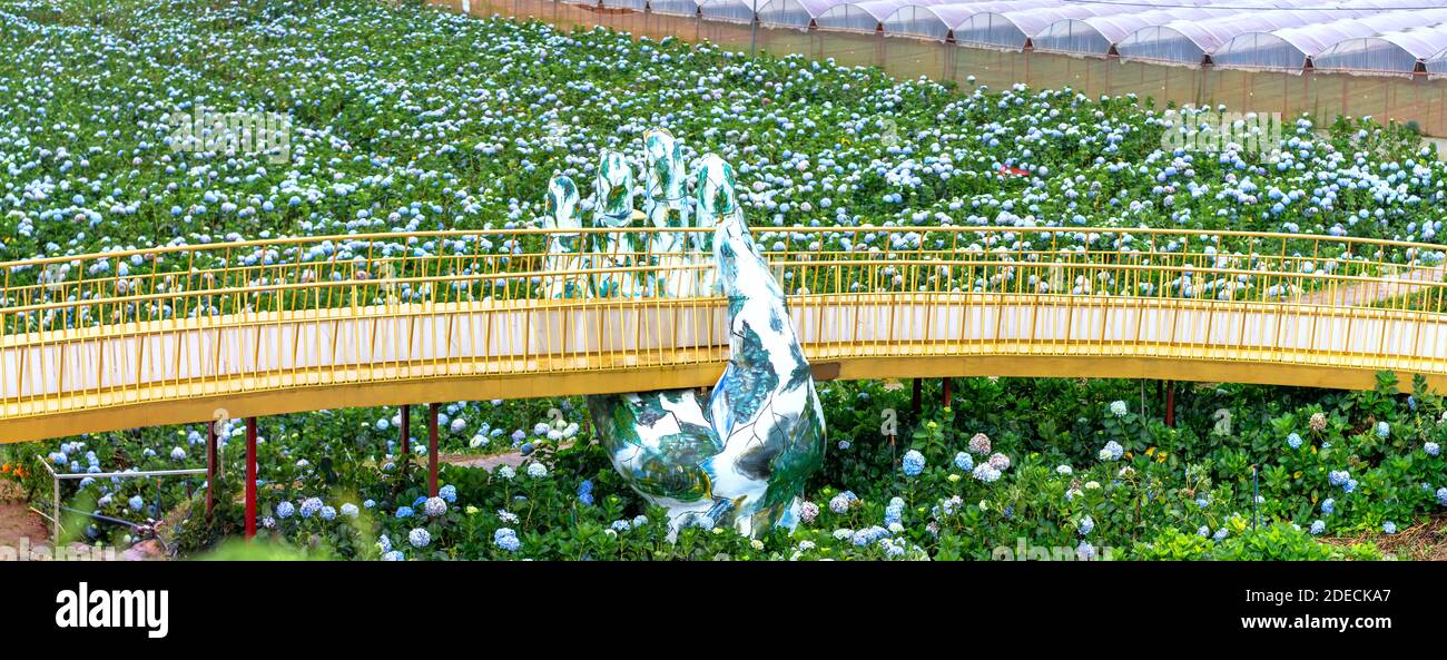 Golden Bridge in the Hydrangea Flower Garden, which attracts visitors ...