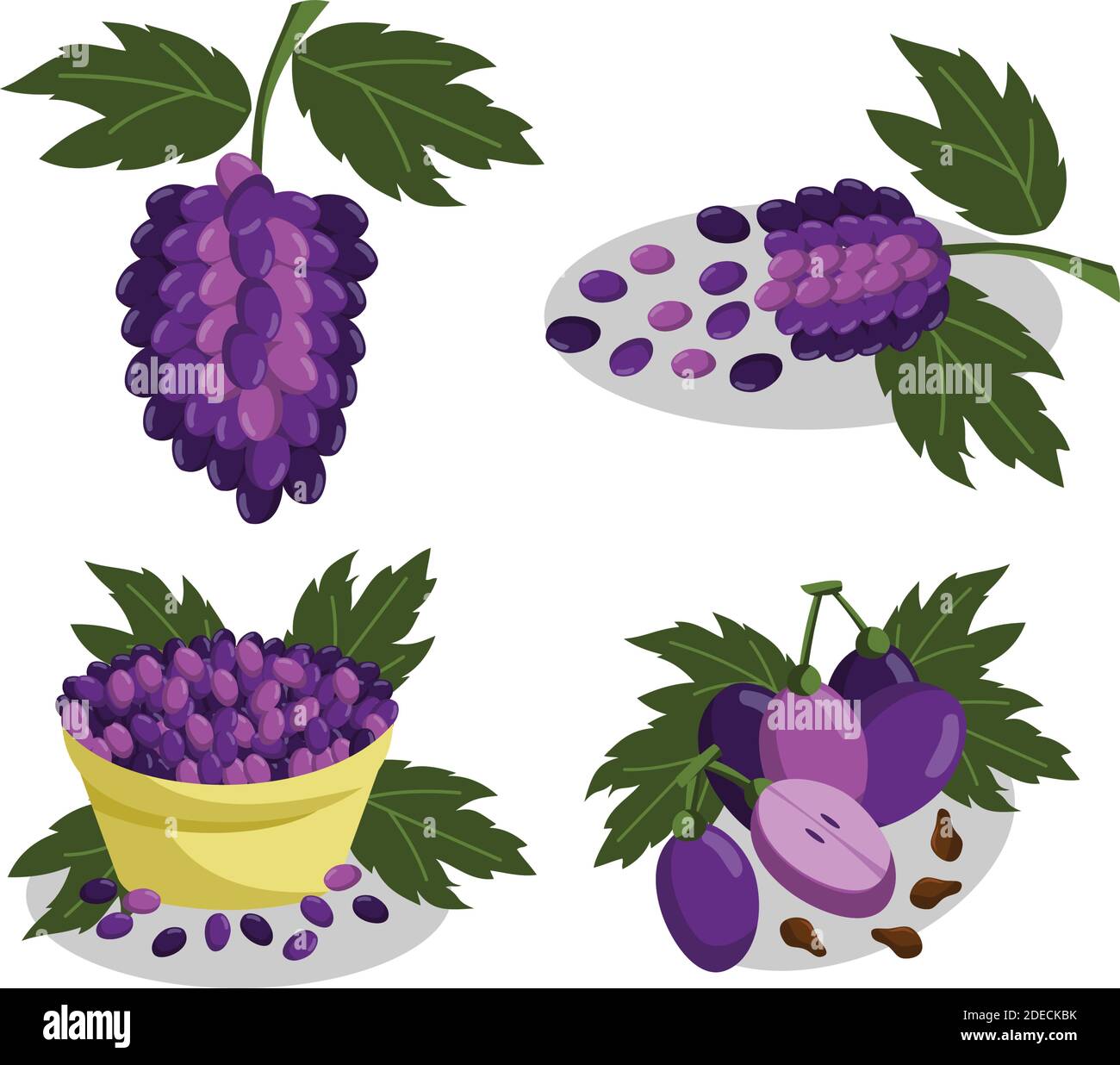 Grape bunches Fruit and leaves illustration Stock Vector Image & Art ...