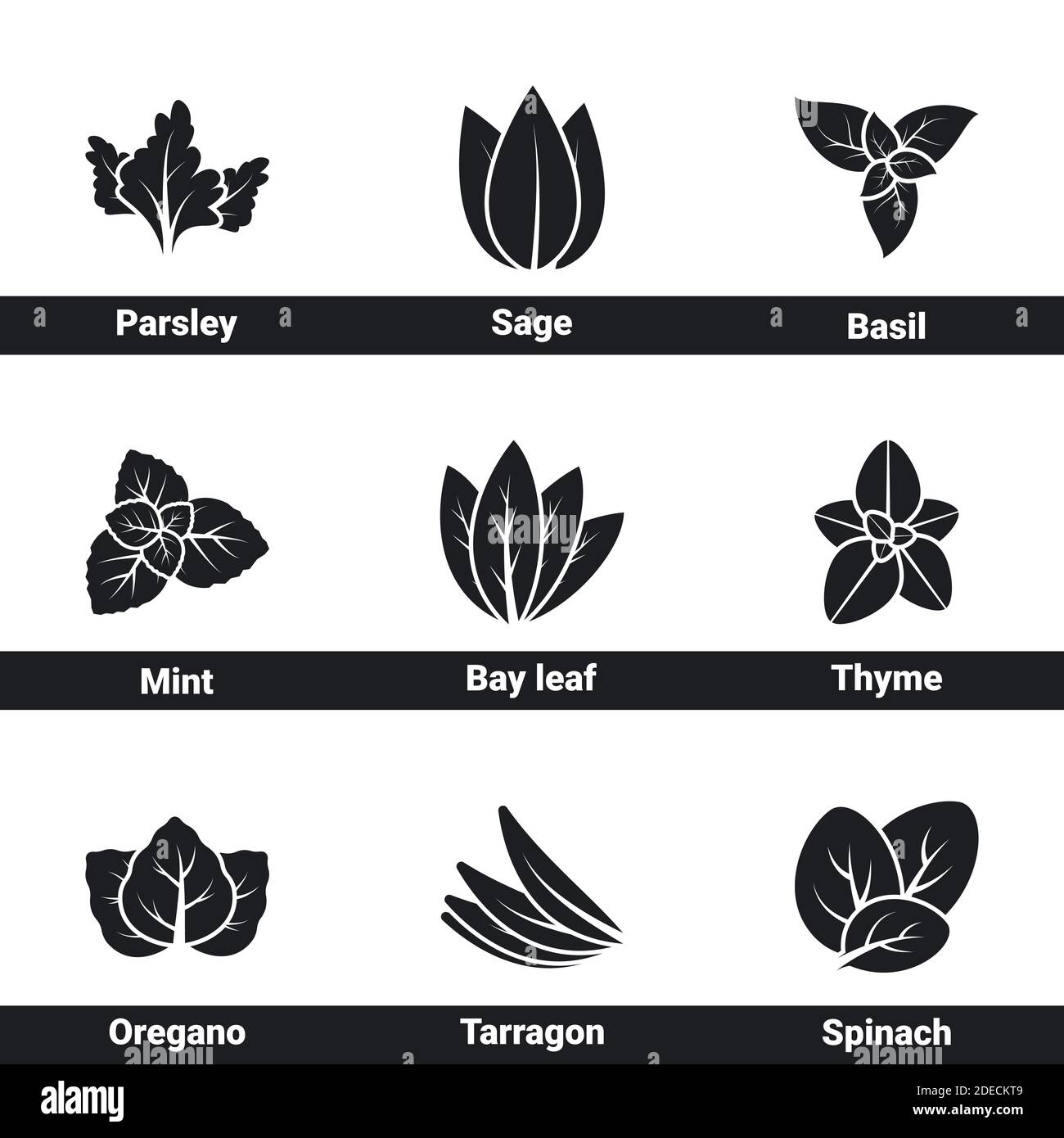 Icons for theme Spices And Herbs. White background Stock Vector Image ...