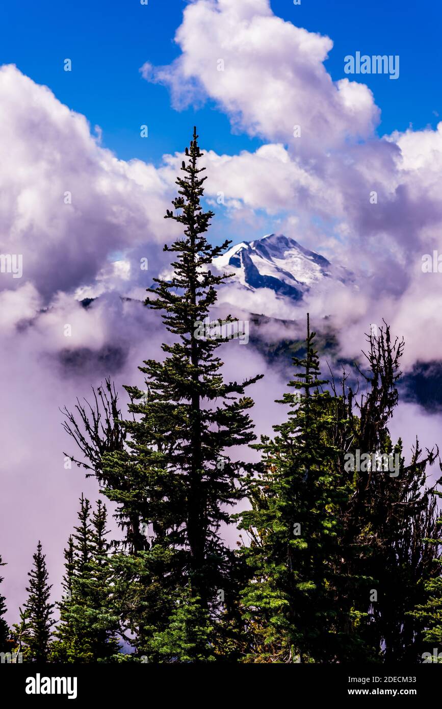 View of Alpine and Blackcomb Meadows and Mountain Stock Photo - Alamy