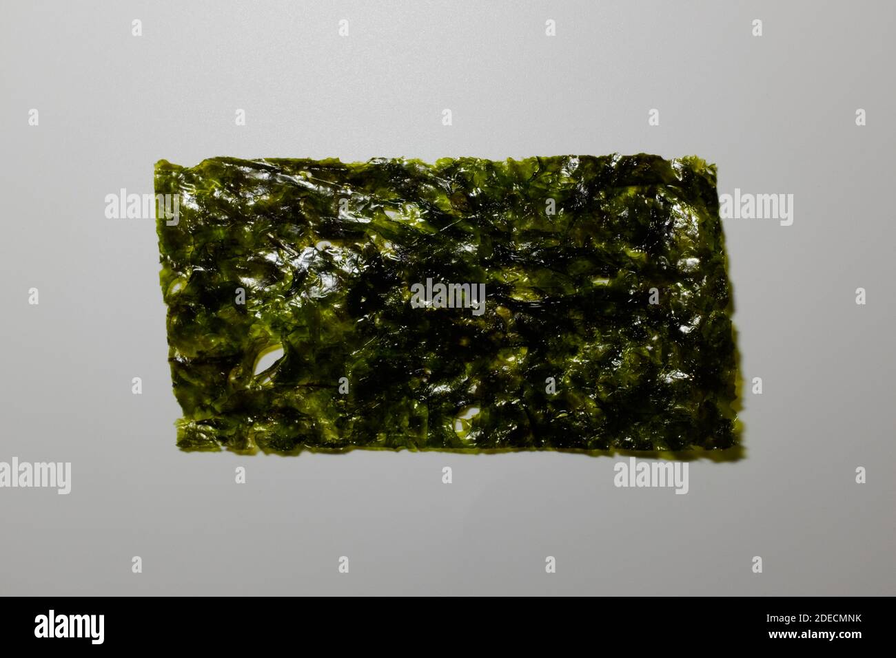 Green Blue seaweed on a white background Stock Photo - Alamy