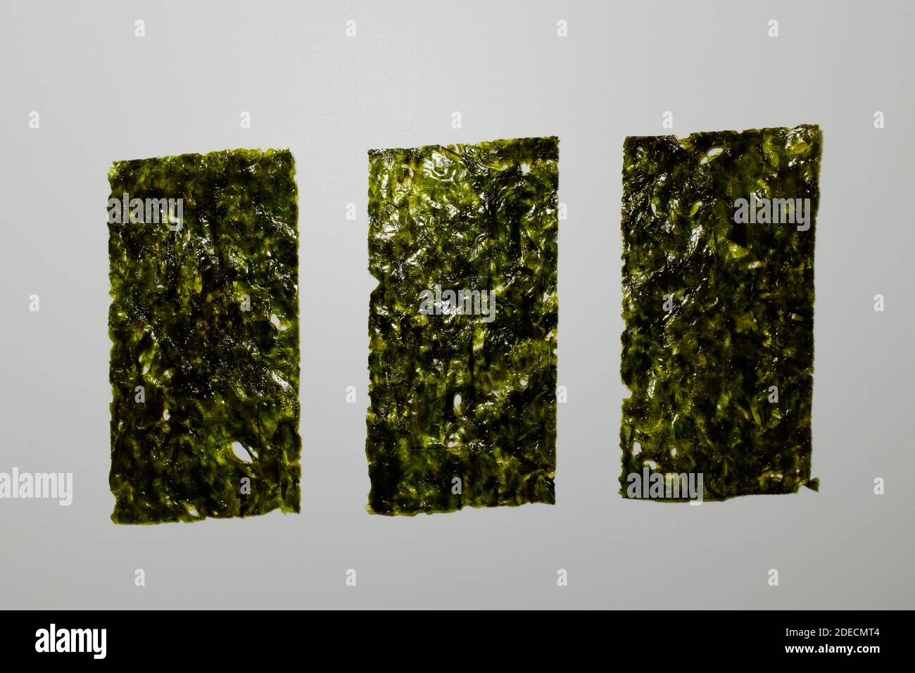 Green Blue seaweed on a white background Stock Photo - Alamy