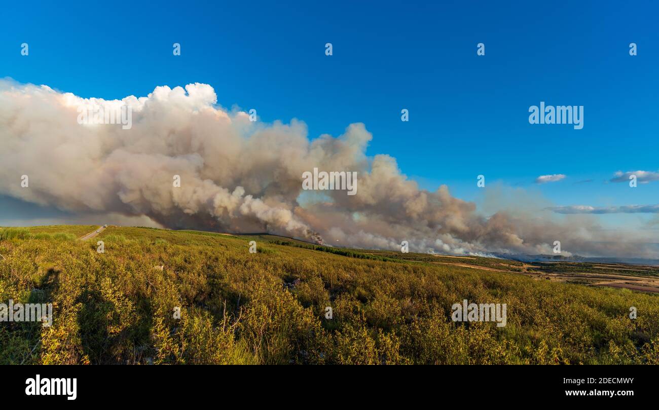 Large fire over the hillside with huge smoke columns Stock Photo - Alamy