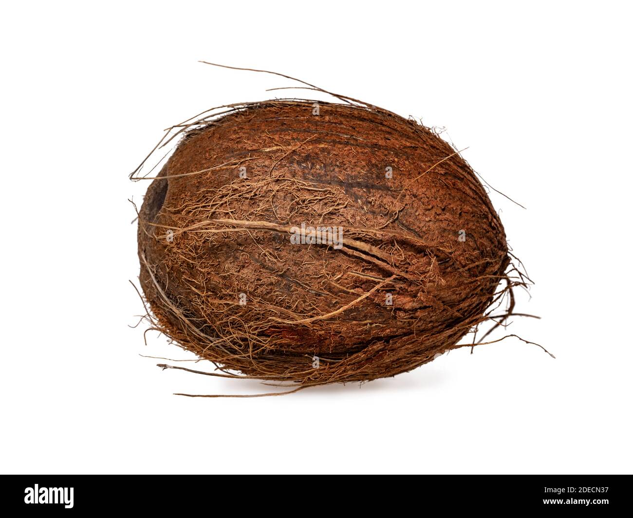 Side detailed view of whole coconut. Isolated on white background Stock ...