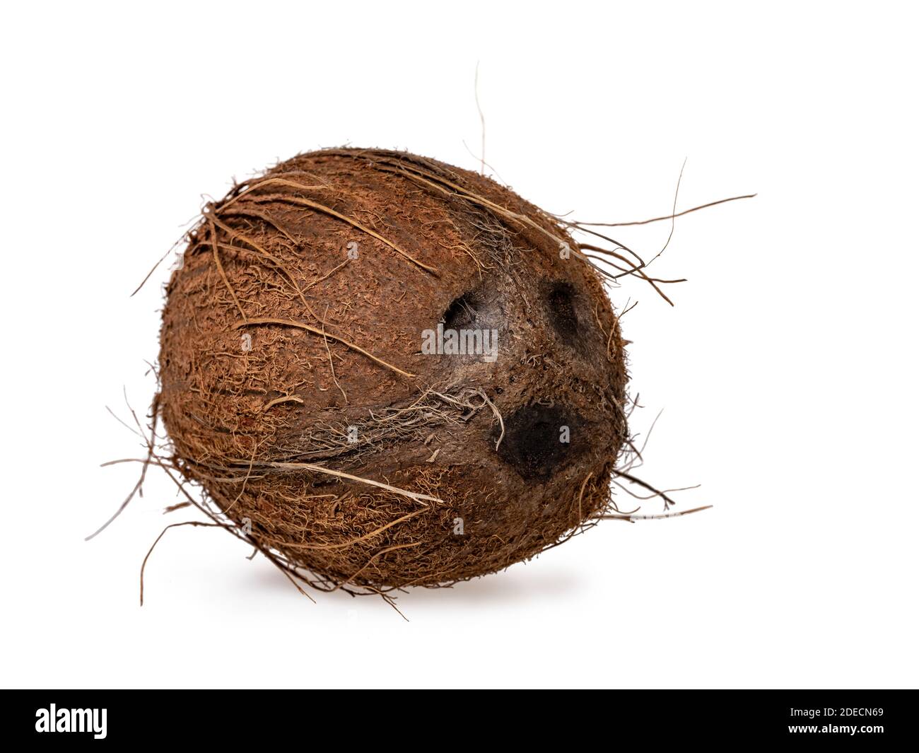 Side detailed view of whole coconut, showing face like marks. Isolated ...