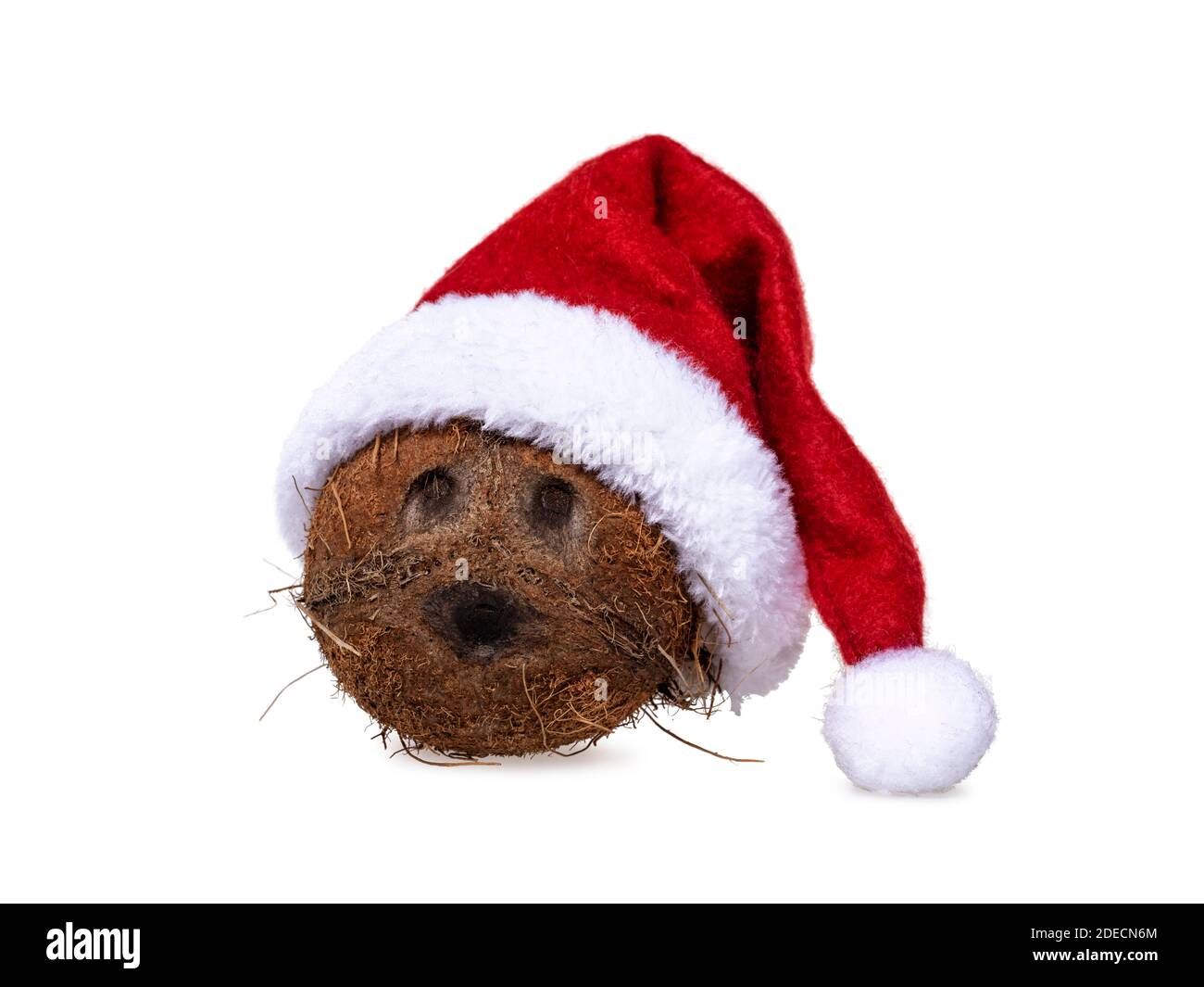 Front detailed view of whole coconut, showing face like marks. Wearing ...