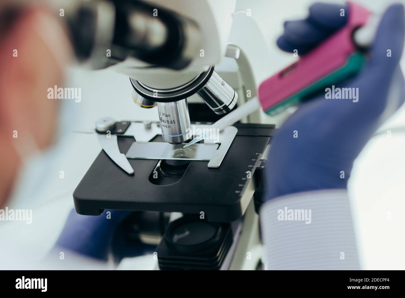 Close up scientist using hi-res stock photography and images - Alamy