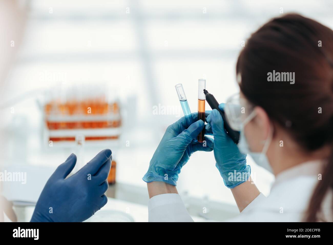 rear view . test tube in hands of the laboratory employee Stock Photo ...